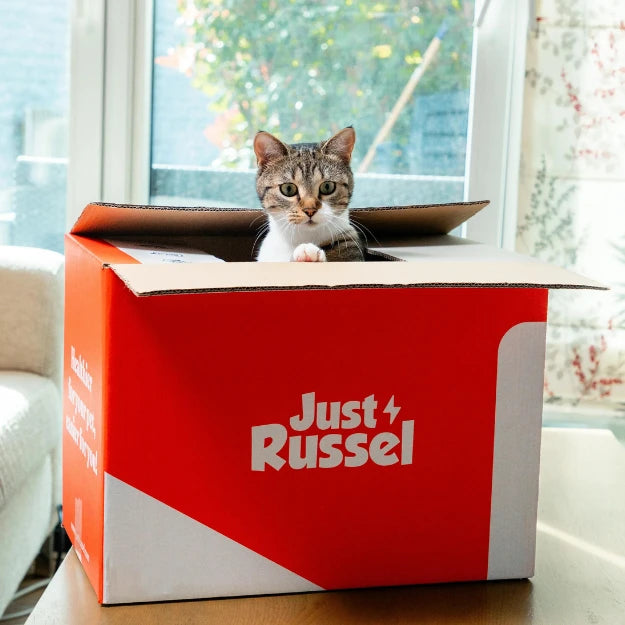 Everything for your Cat - Just Russel – Just Russel Shop